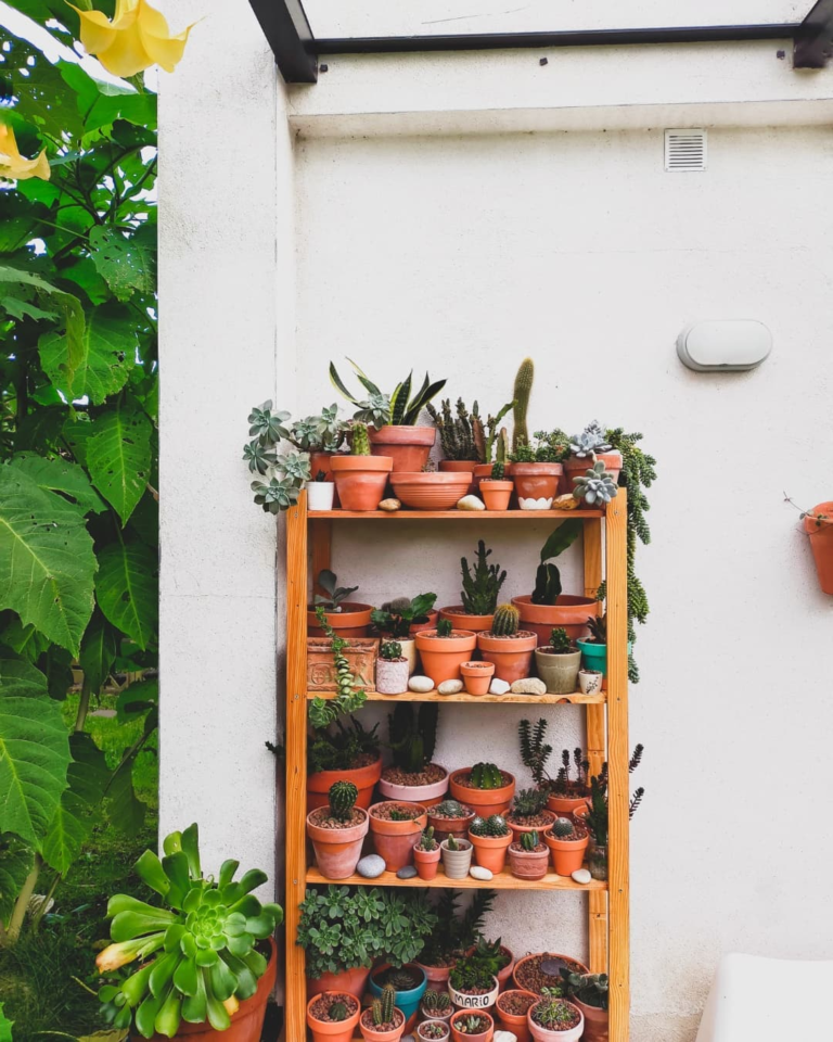 20 Stunning Terracotta Interiors for a Cozy, Stylish Home ...